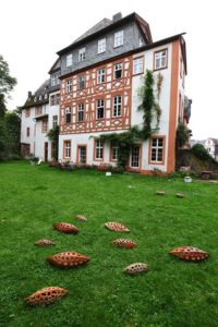 Schloss - Freundeskreis Schloss Hungen e. V.